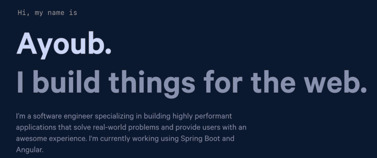 The Complete Software Engineer Portfolio Guide + 24 Examples